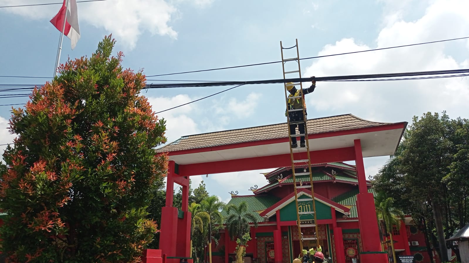 Jaga Estetika dan Keandalan Jaringan, PLN Icon Plus Melakukan Perapihan ...