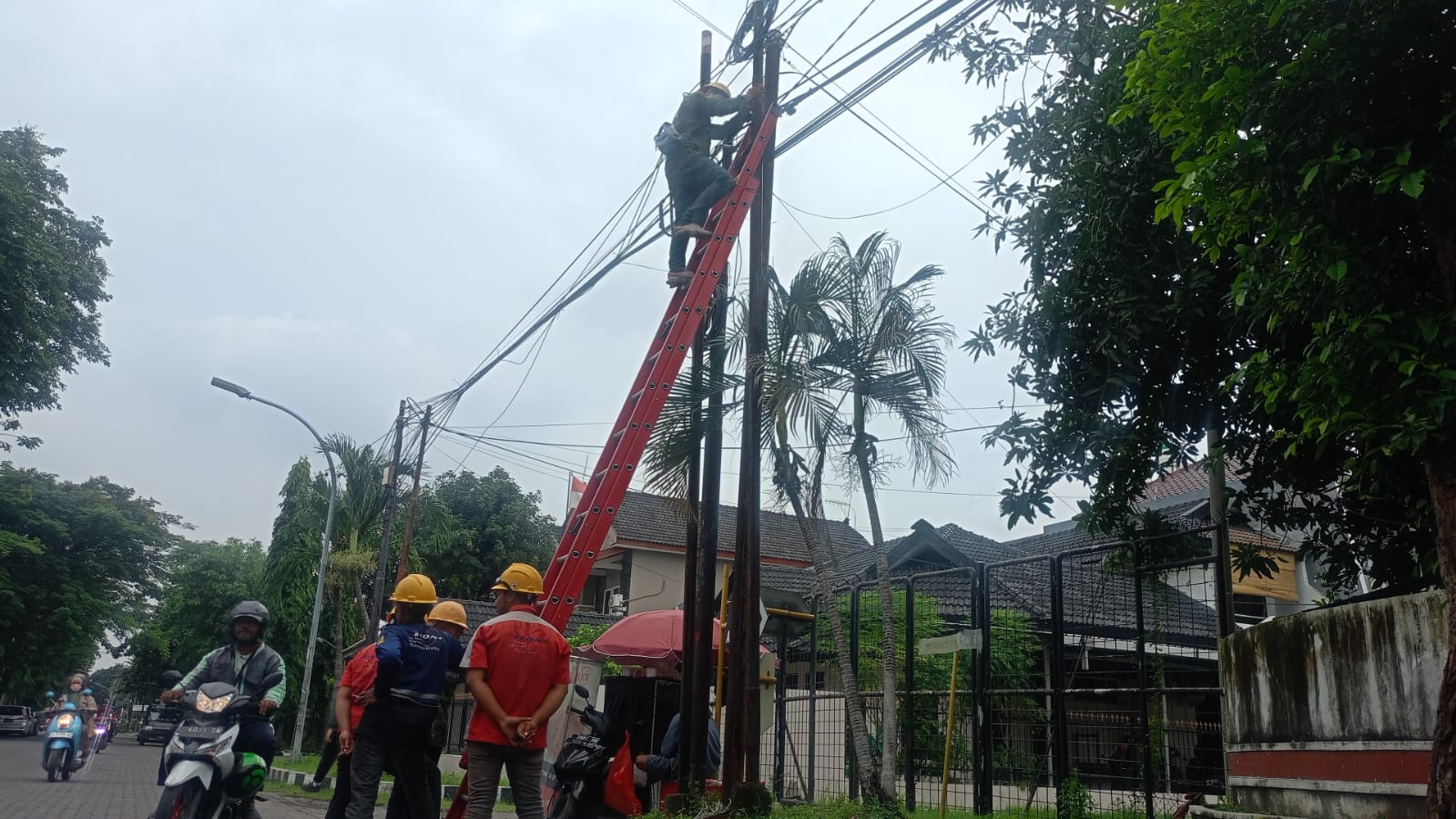 Langkah Proaktif PLN Icon Plus Tertibkan Kabel Ilegal di Tiang PLN Kota Surabaya Guna Estetika ...
